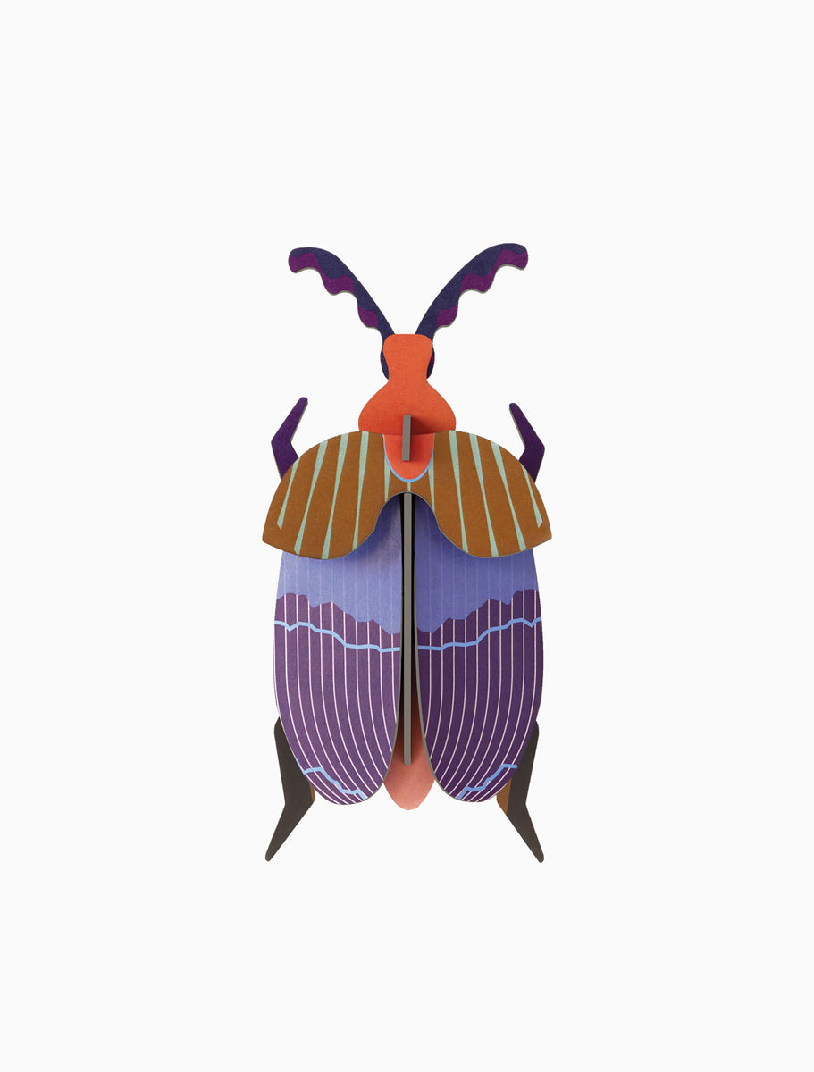 QUEEN BEETLE – Three Littles